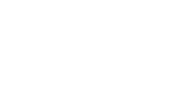 Fort Worth Academy of Fine Arts – FWAFA